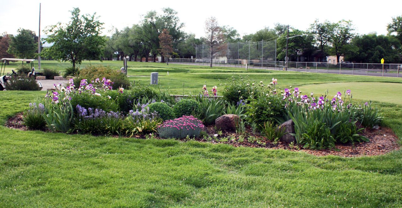 Golf Grand Junction | Courses | Grand Junction, CO.